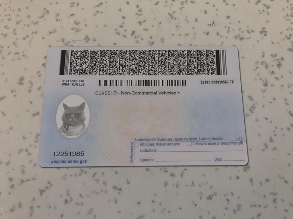 Wisconsin Driver License PSD Template – Novelty PSD